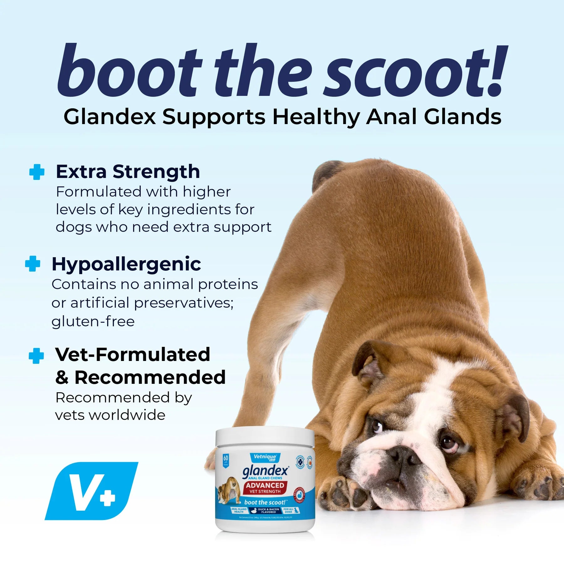 Glandex Anal Gland Support Soft Chews - Duck & Bacon Flavor 120 ct.